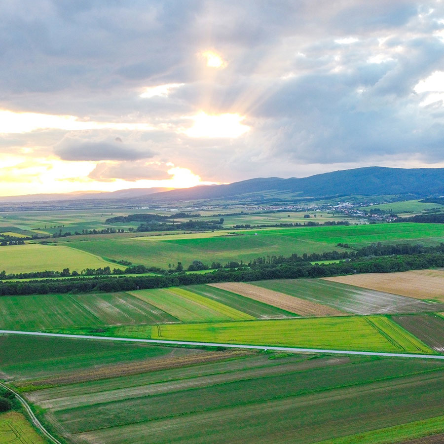 Domovi za starije Požeško-slavonska županija - DomoviPLUS
